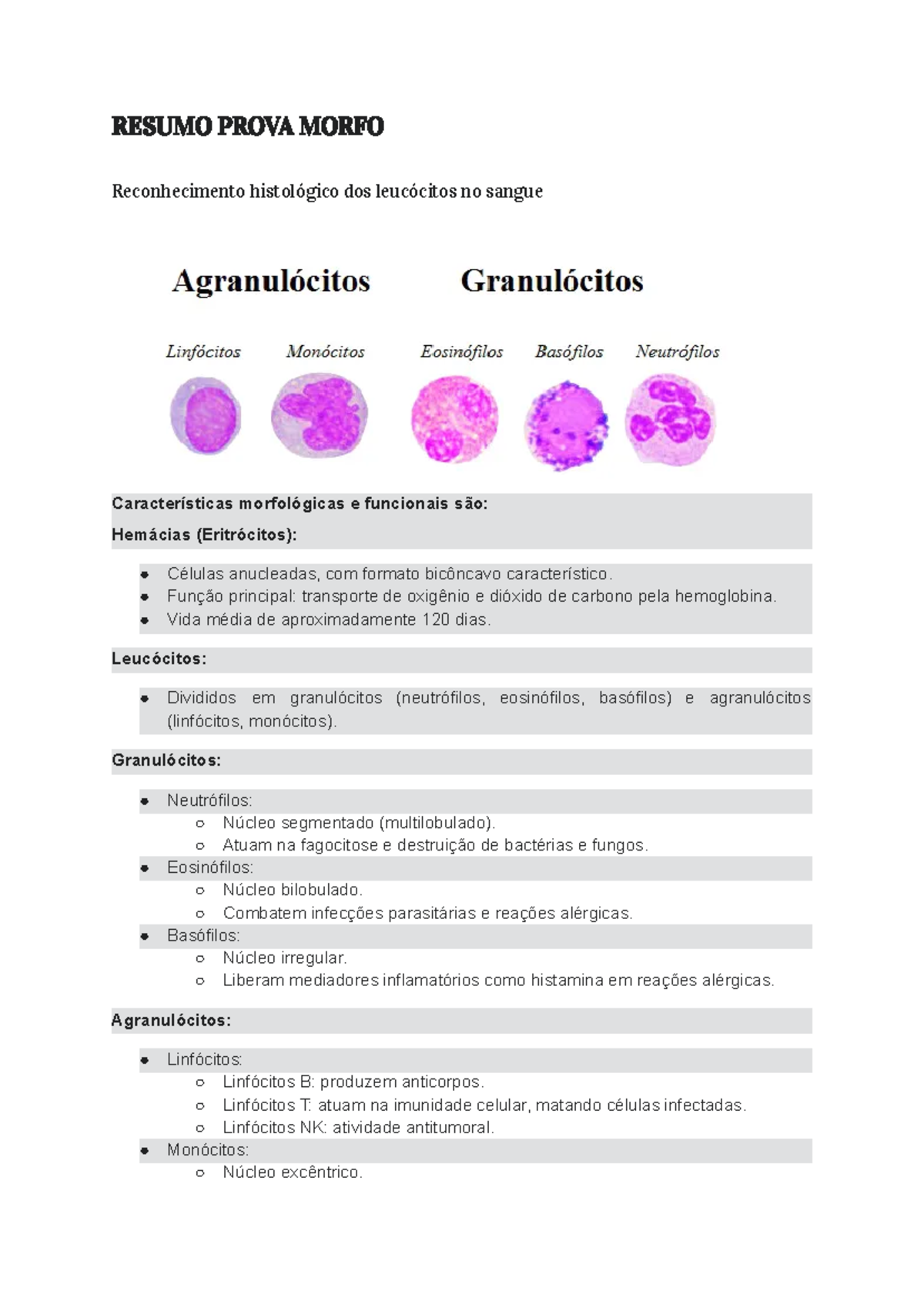 Resumo Prova Morfo - sangue - RESUMO PROVA MORFO Reconhecimento histológico dos leucócitos no ...