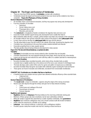 Concert report example for Music Appreciation - Please attach a signed ...