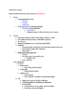 Analyzing Graphics Enzymes (AP Bio) - Name ...