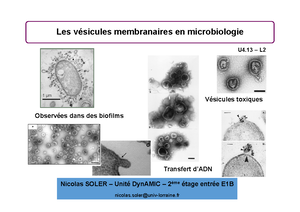1-histoire de la microbiologie et definition de la discipline ...