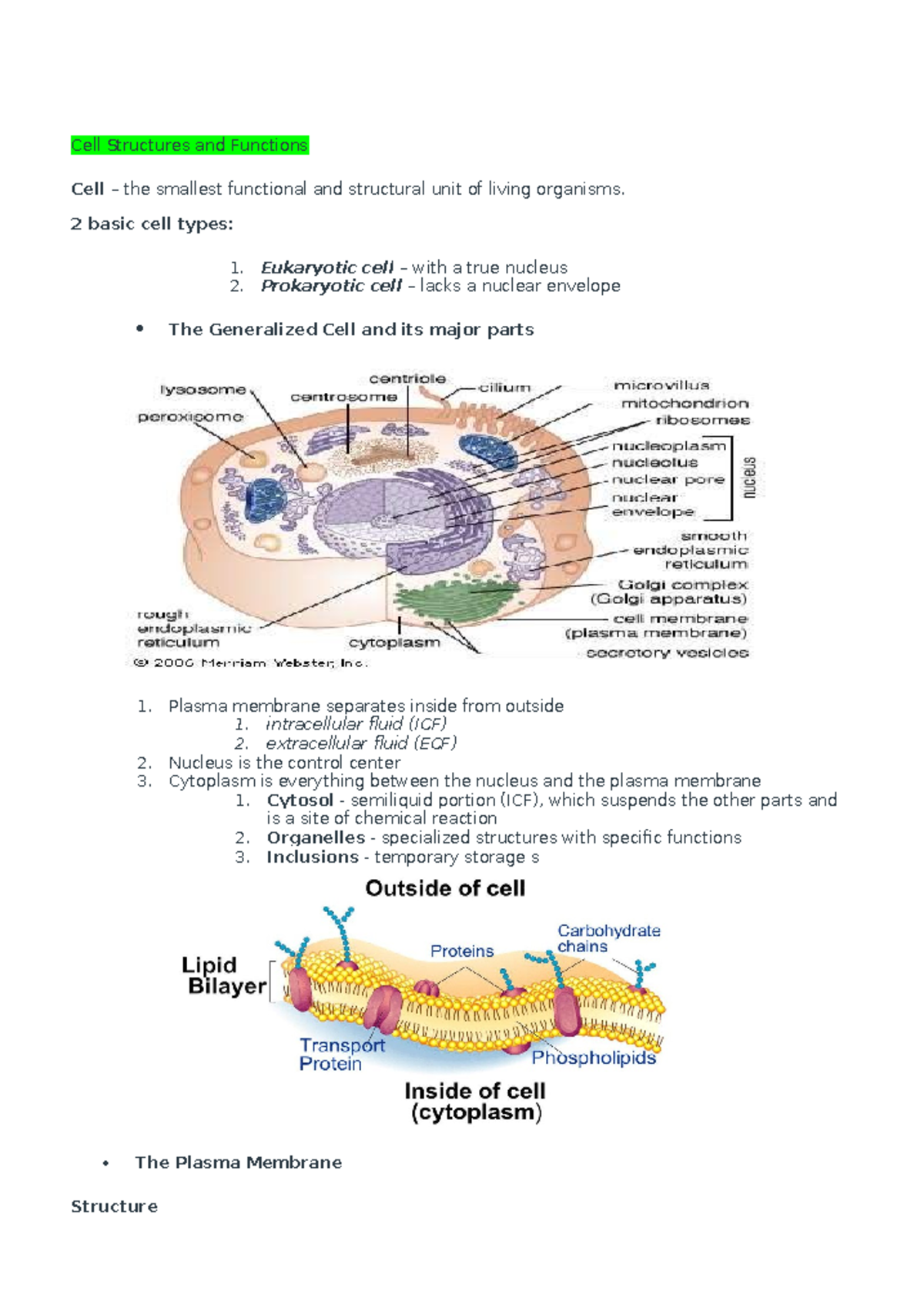 Cells - Our Lady of Fatima University - Cell Structures and Functions ...
