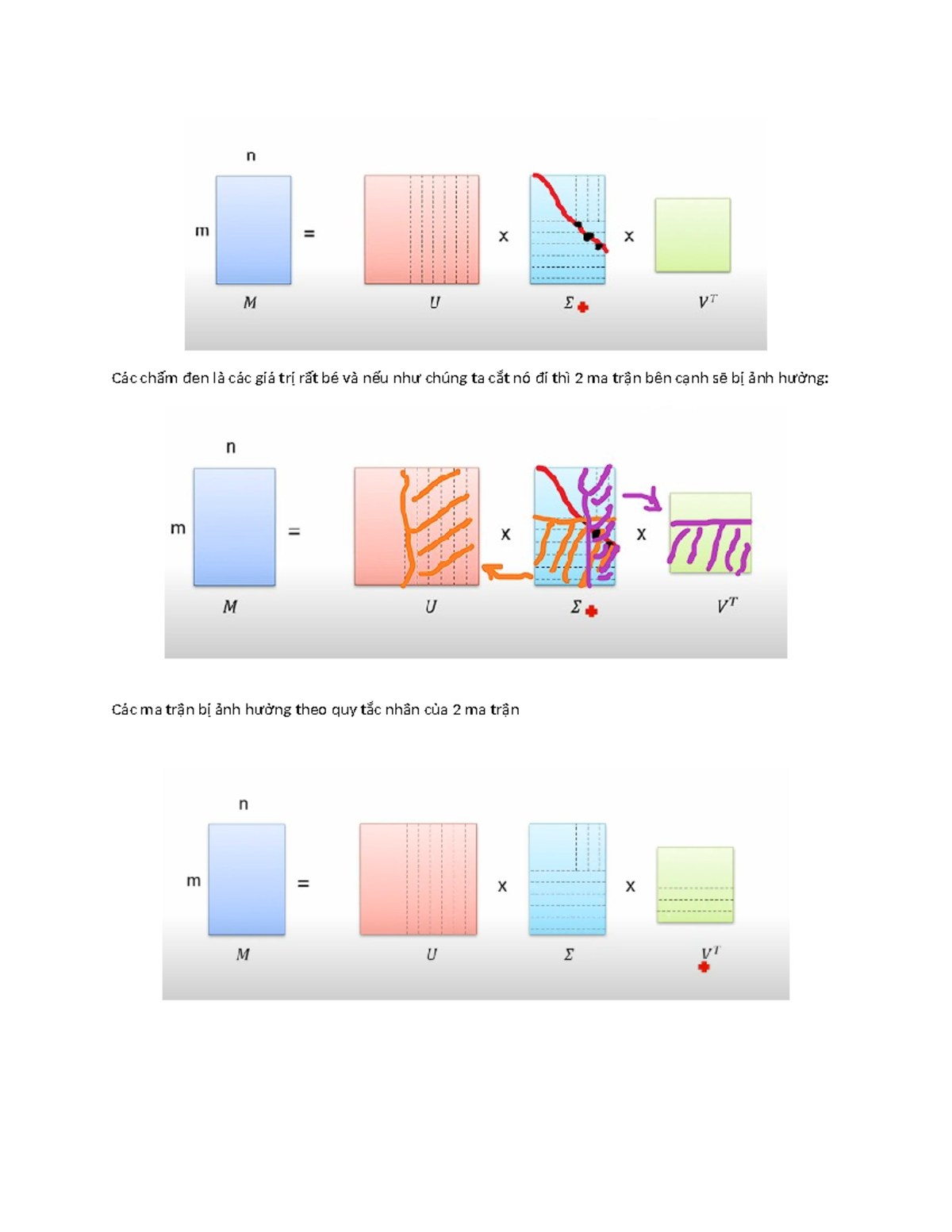 BTL-DSTT - BTL DSTT cô Xuân Mỹ - Các chấm đen là các giá trị rất bé và nếu như chúng ta cắt nó ...