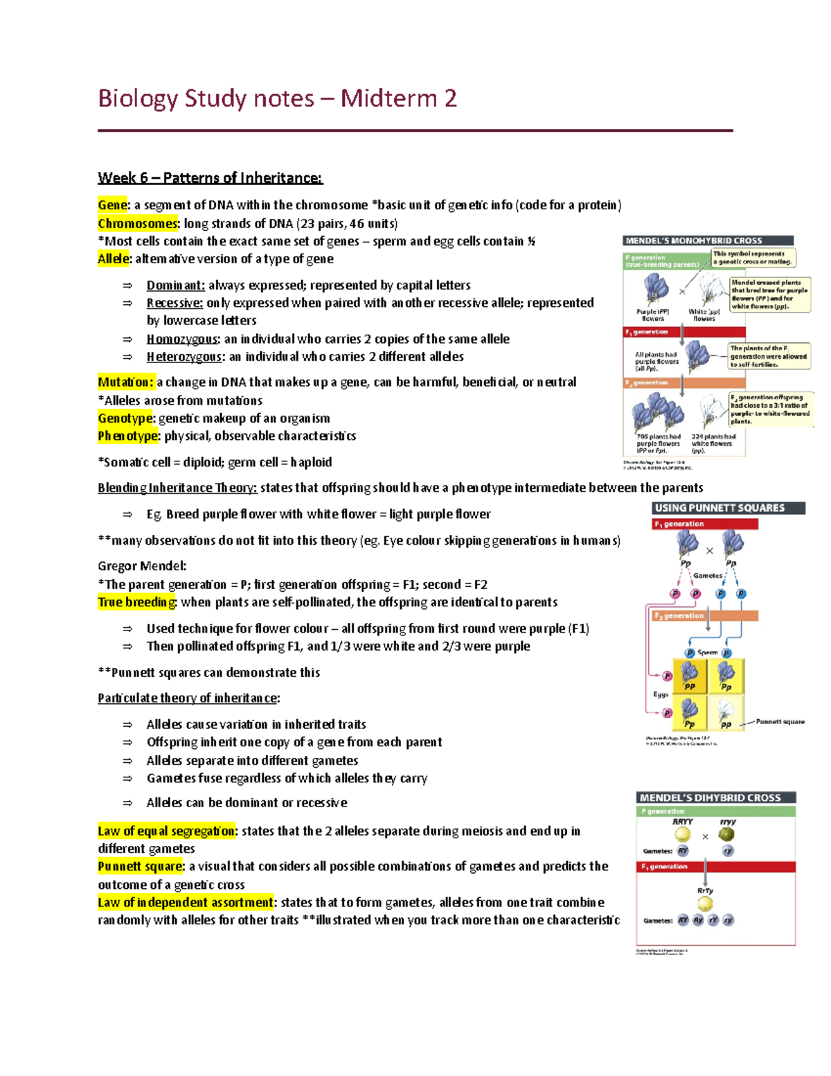 Biology - Midterm 2 Notes - Biology Study notes – Midterm 2 Week 6 ...
