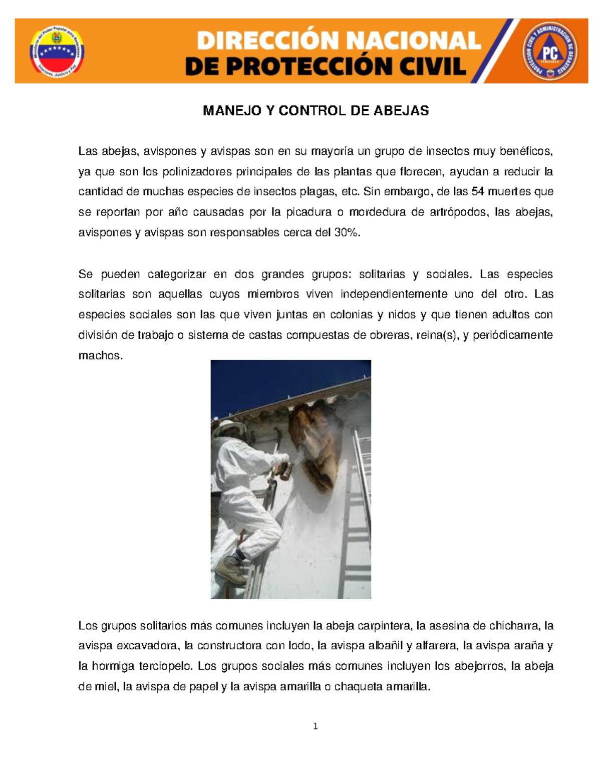 Manual de proteccion civil de enjambres - MANEJO Y CONTROL DE ABEJAS Las abejas, avispones y ...
