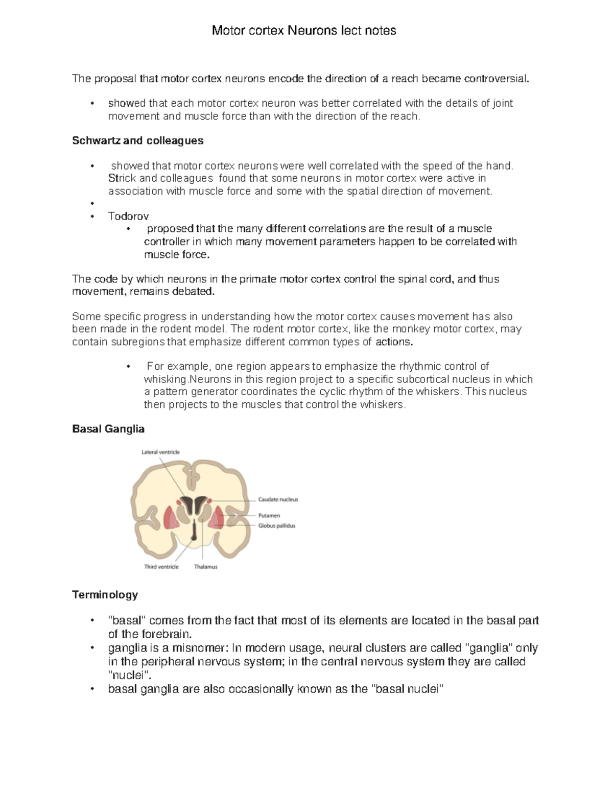 Motor Cortex Neurons Lect Notes The Proposal That Motor Cortex Neurons Encode The Direction Of