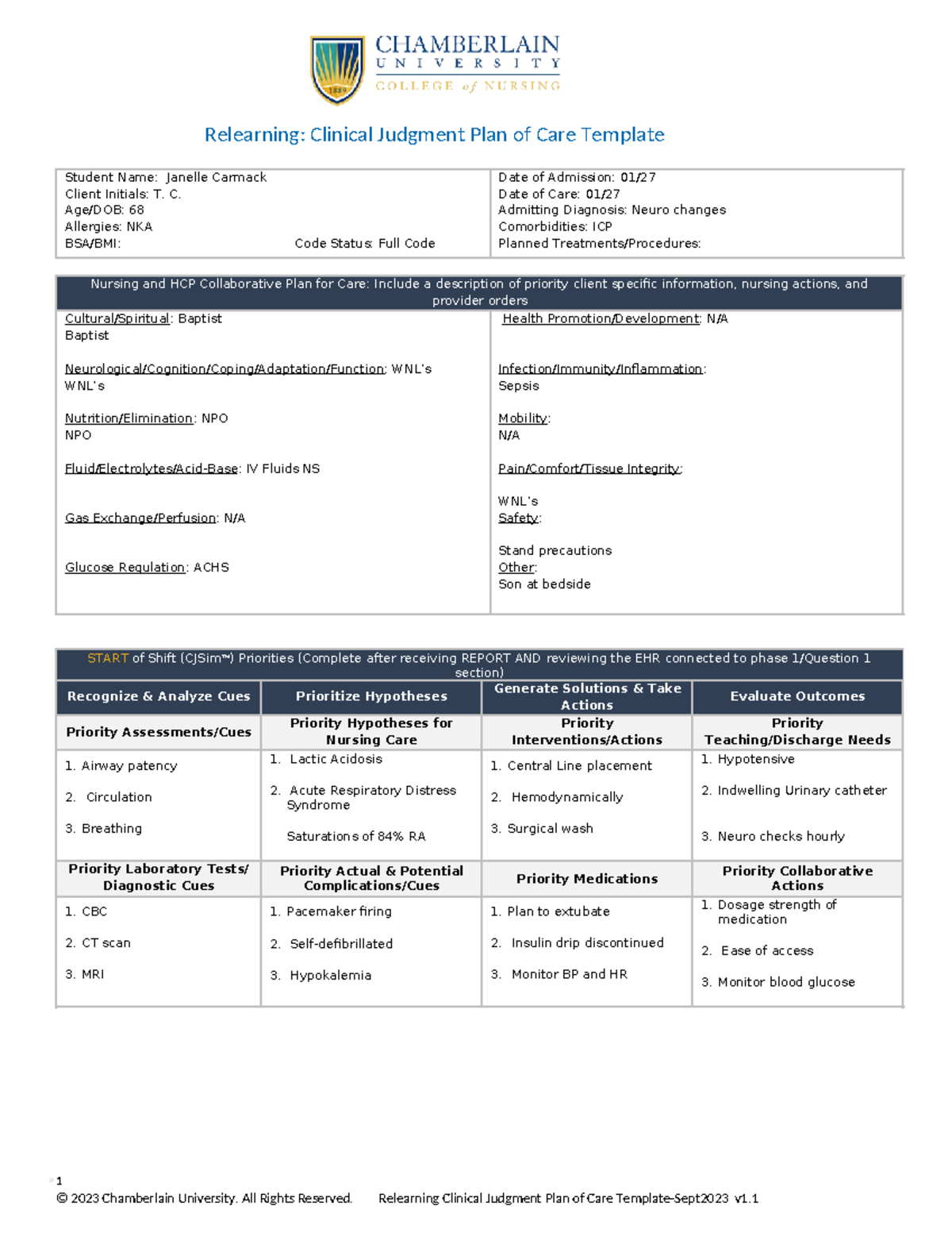 NR446 Care plan 3 - Assignments - Relearning: Clinical Judgment Plan of ...