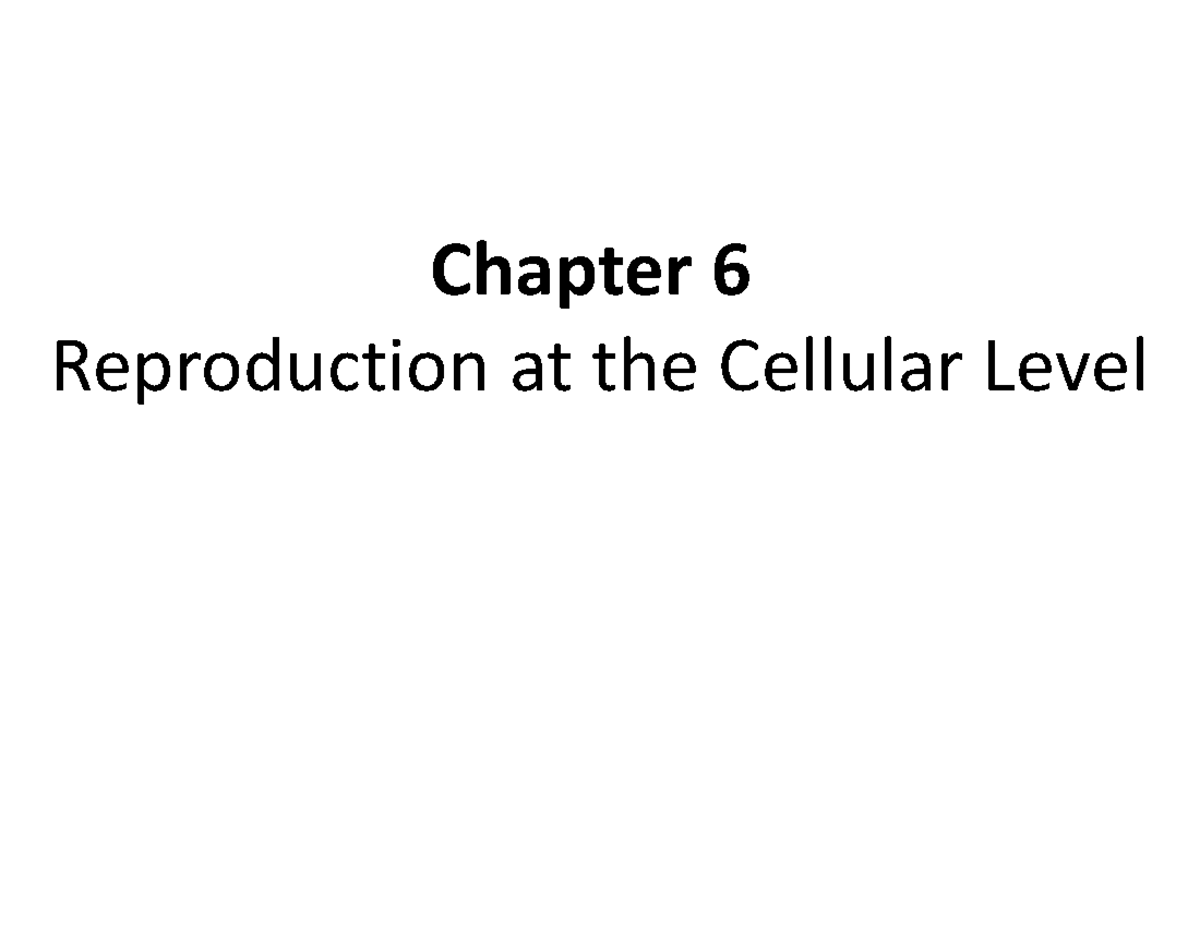Chapter 6 Cells Reproduce - Chapter 6 Reproduction at the Cellular ...