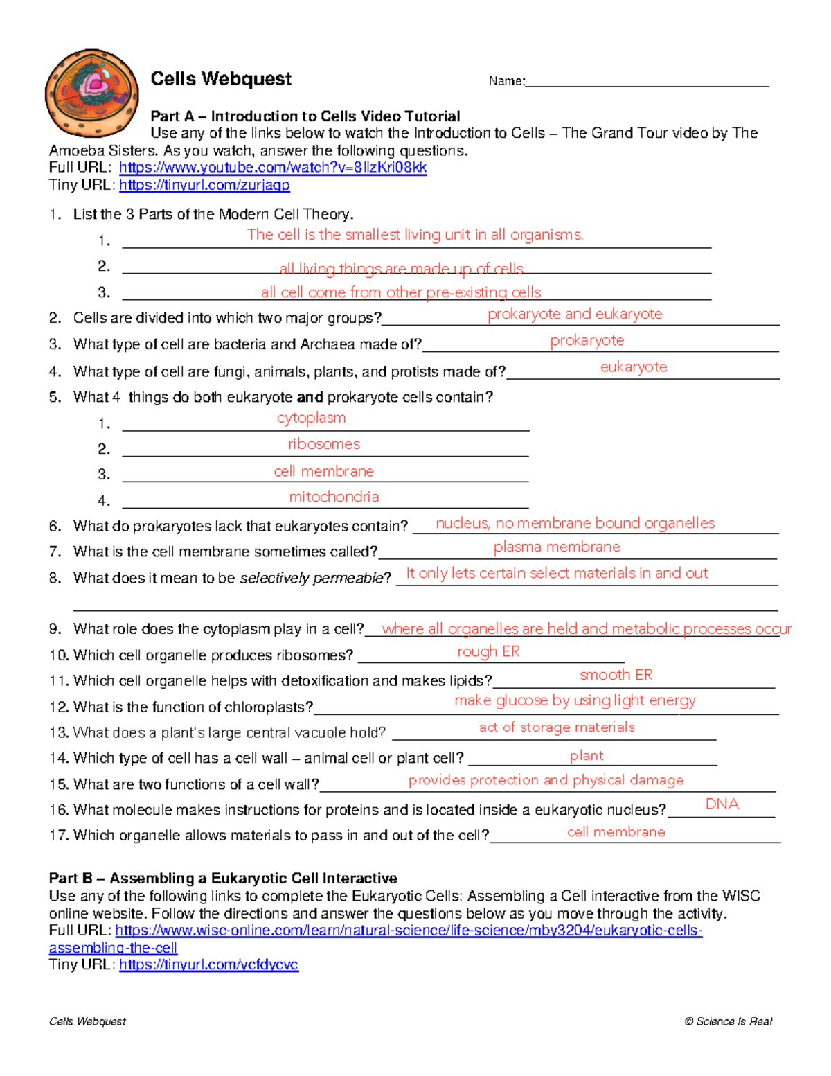 Cells+Webquest+2023 - eqvvqewrv - Cells Webquest Name