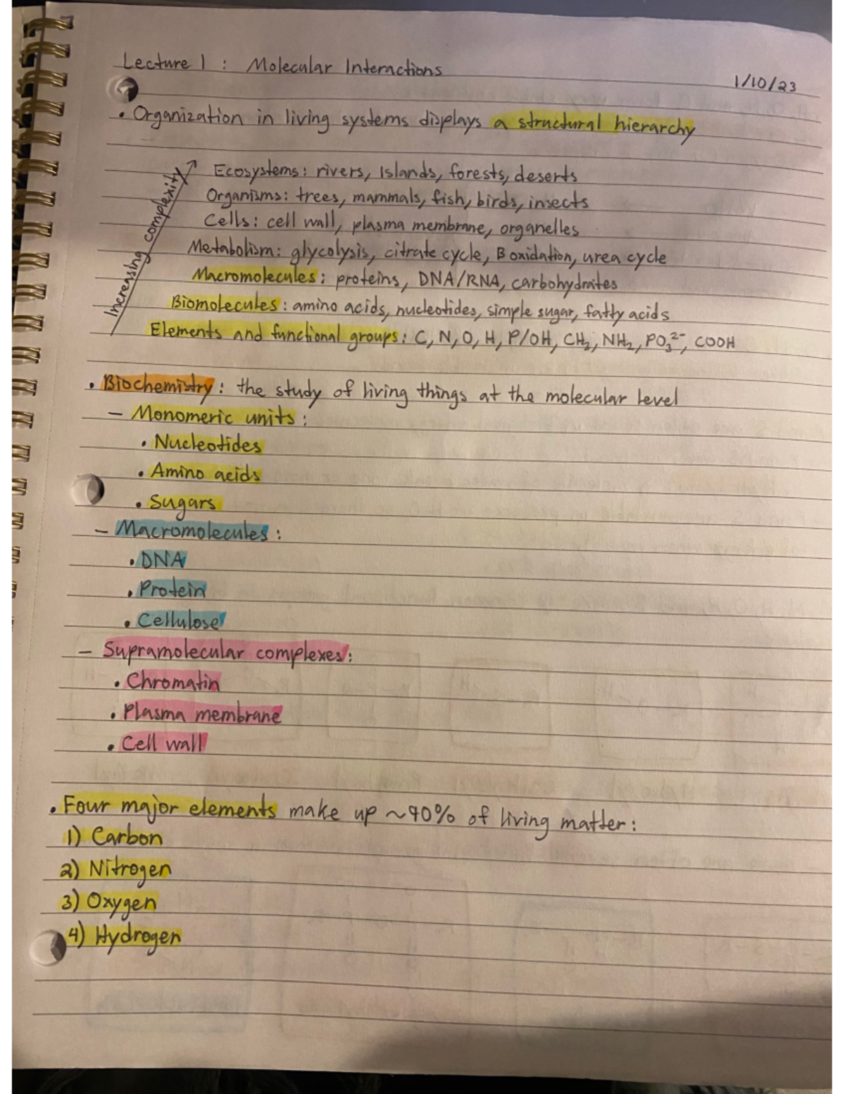 IMG 6040 - The name of the professor is Laura Zapanta. These notes are ...