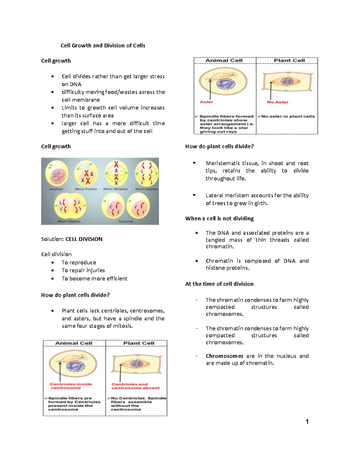 2 - Cell Growth - Cell Growth and Division of Cells Cell growth Cell ...