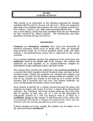 Karyotyping Activity (MB)-1 ANSWER KEY - Name Zahi Period Date ...