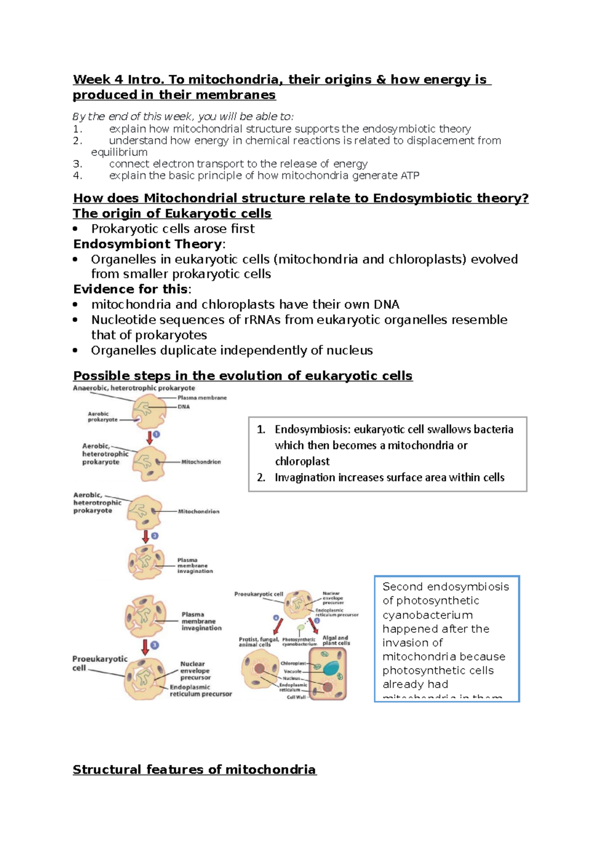 Week 4 Intro to mitochondria - Week 4 Intro. To mitochondria, their ...