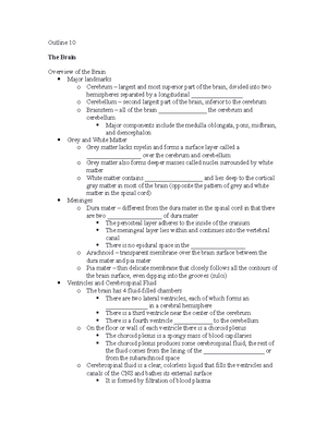 Outline 2 - notes - Human Anatomy Lecture 2 Study of Cells Cell shapes ...