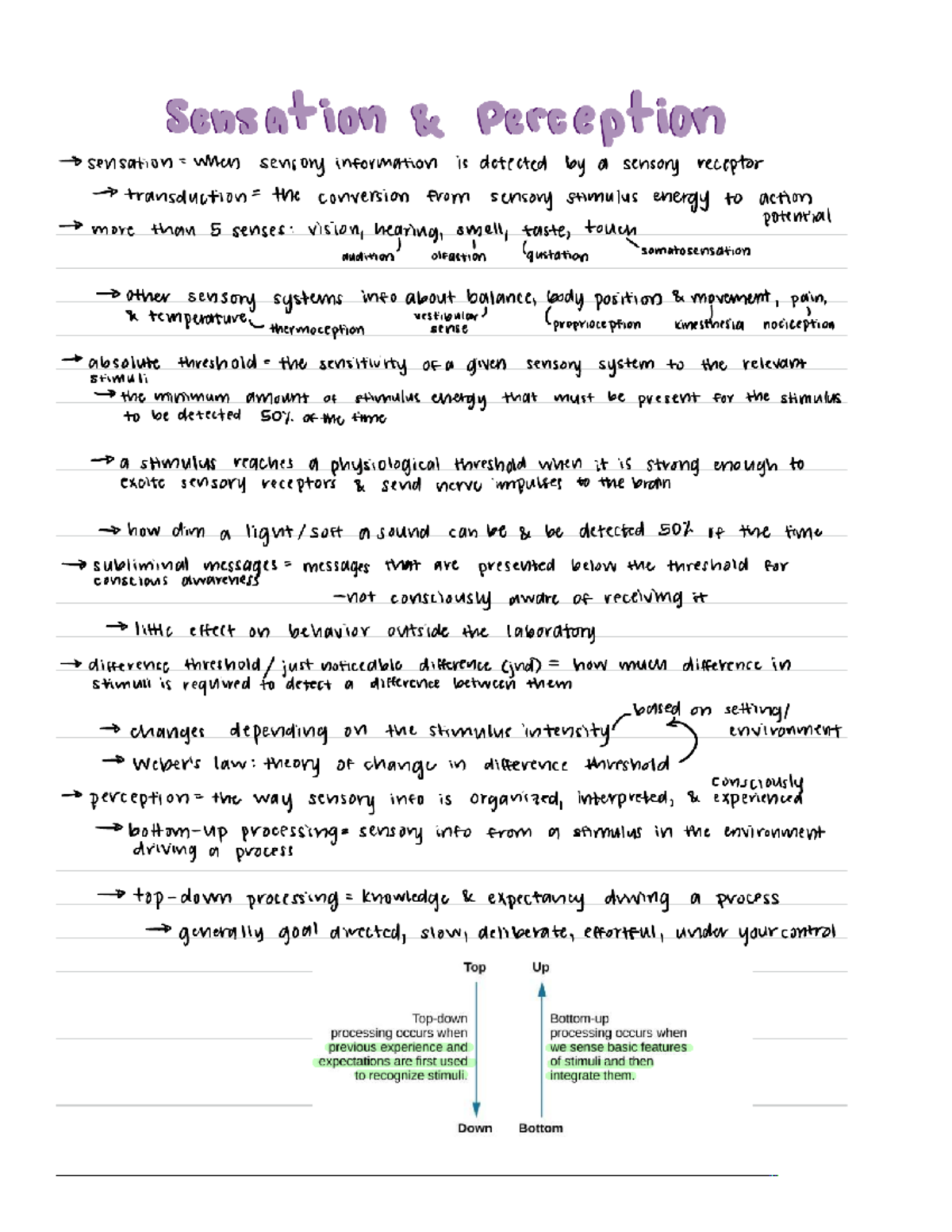 Module 2 sensaion and perception notes - PSY 1700 - Studocu