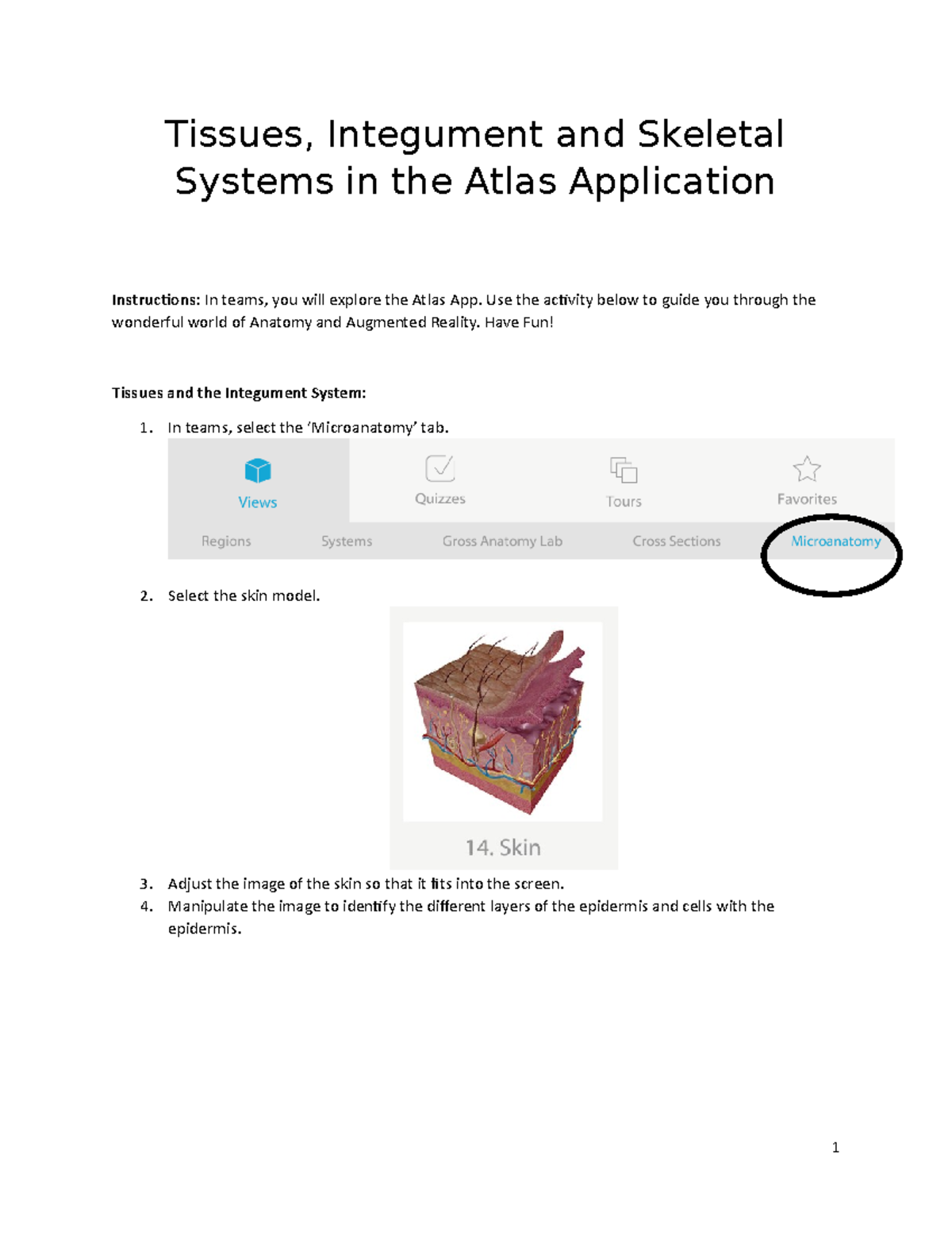 Week 2 Atlas App- completed - Tissues, Integument and Skeletal Systems ...