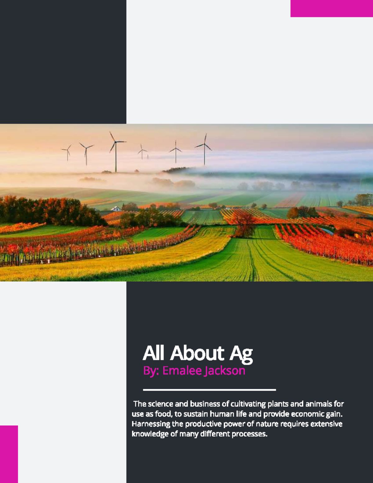 Magazine Layout - for ffa class - Studocu