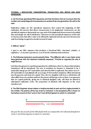 VET 125 Carbohydrate Metabolism Tutorial Student - VET 125 Carbohydrate ...