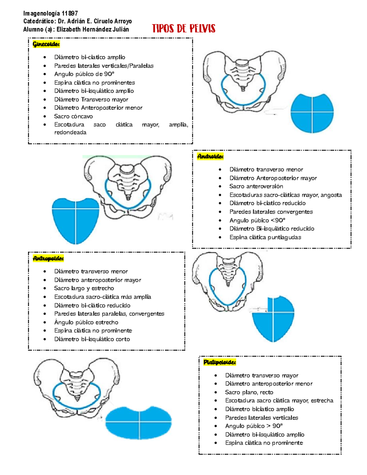 Tarea 5 Tipos de pelvis - Repaso - Imagenología 11897 Catedrático: Dr ...