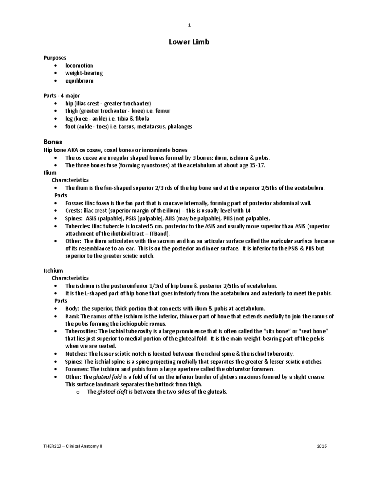 Lower Limb Theory Notes - Lower Limb Purposes locomotion weight-bearing ...