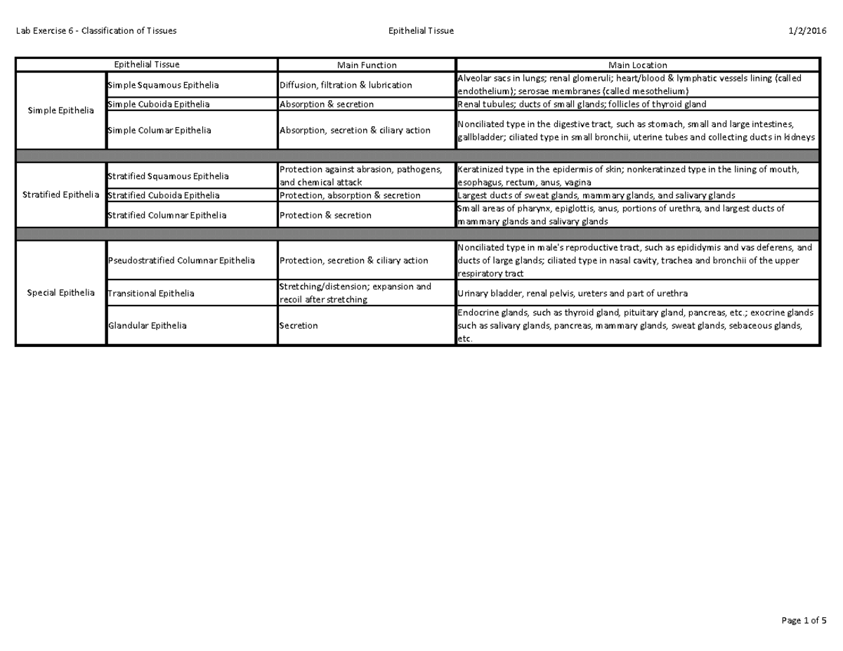 Lab Exercise 6 - Classification of Tissues - ; exocrine glands such as ...
