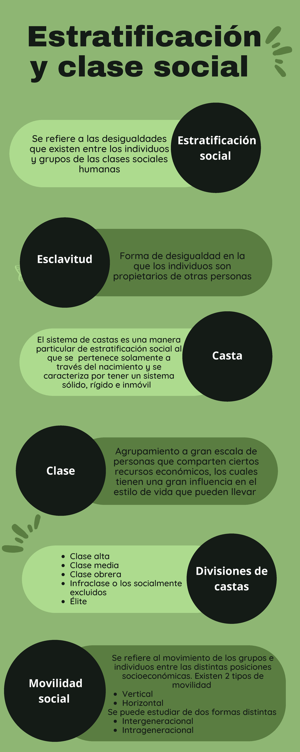 Estratos sociales - Estratificación y clase social Vertical Horizontal ...