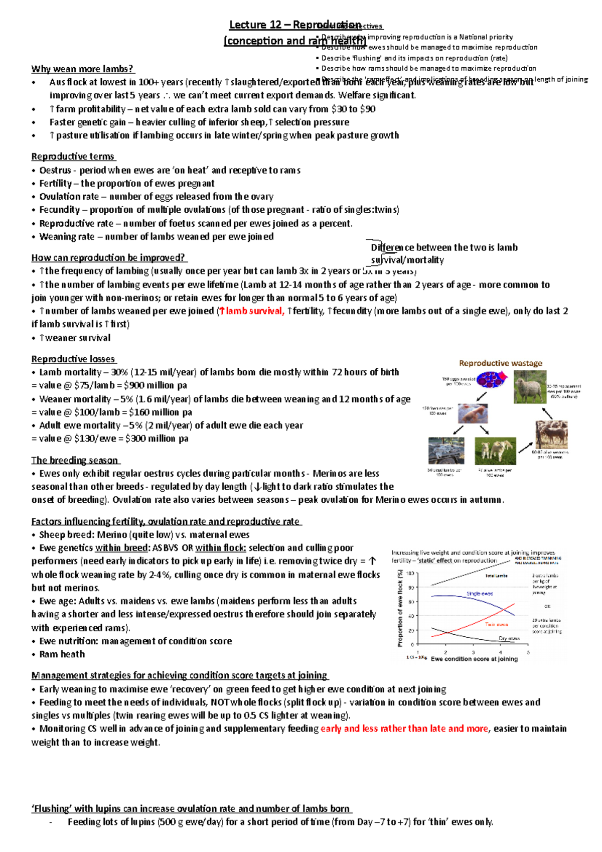 Lecture 12 - Repro (Conception and ram health) - Lecture 12 ...