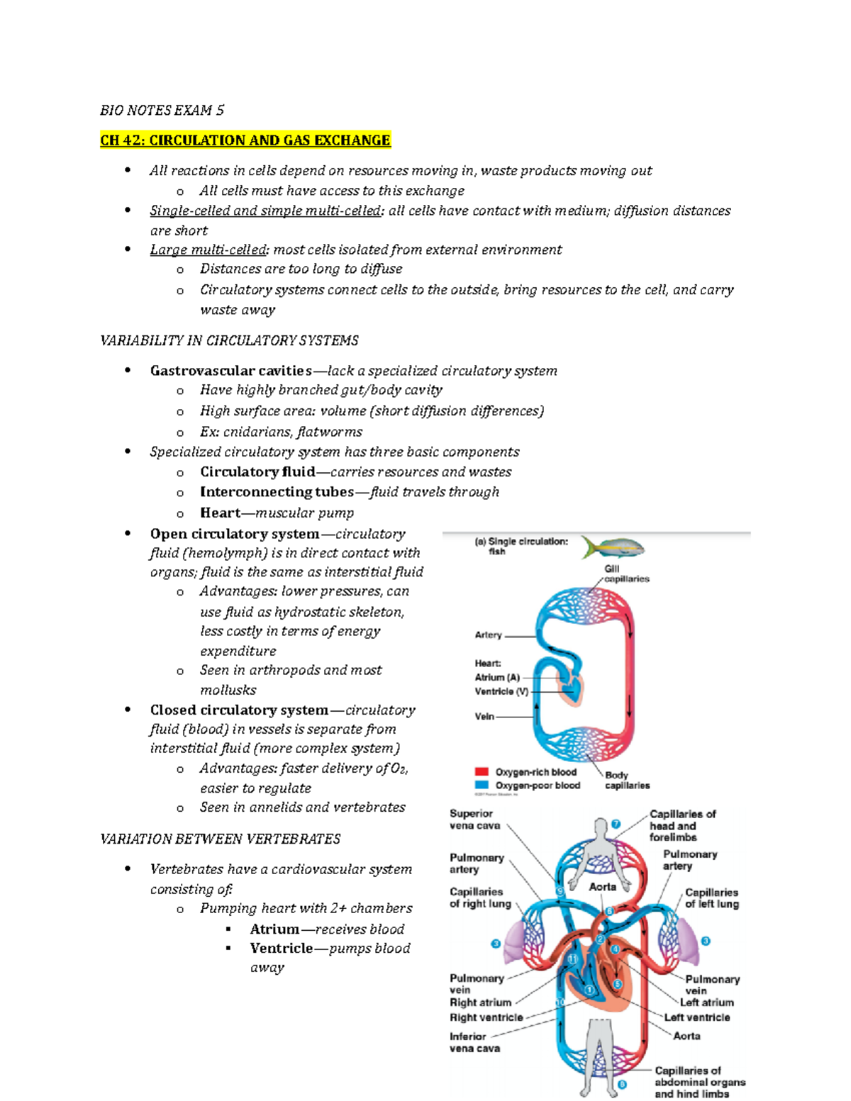 Bio Notes 5 - instructor: Juan Lopez-Bautista - BIO NOTES EXAM 5 CH 42 ...