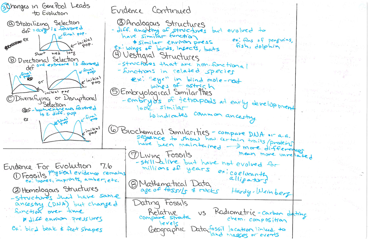 Evidence+of+Evolution+and+Origns+of+Life+ Filled+ Notes - 3 changes in ...