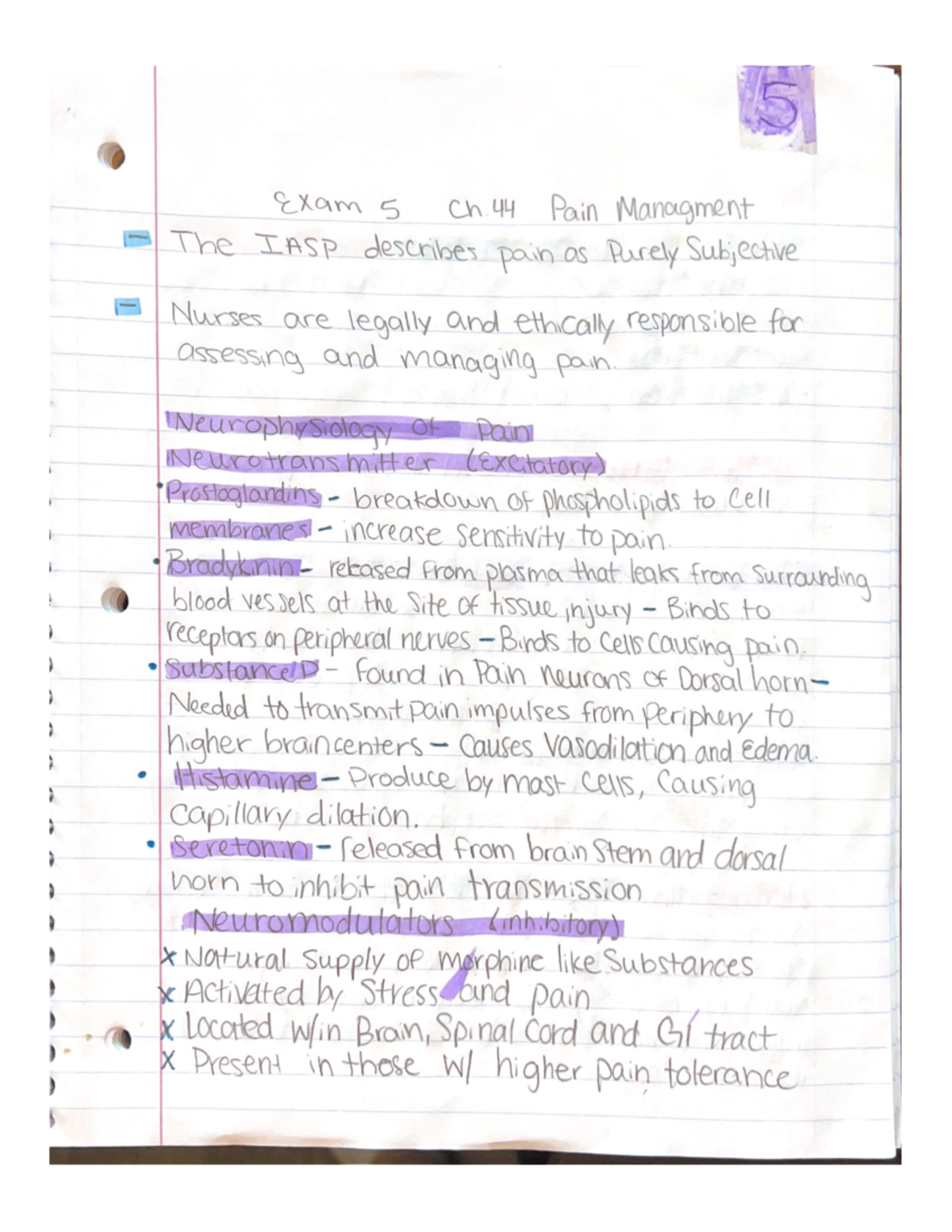 Exam 5 PAIN - Pain notes - NURS 2003 - Studocu