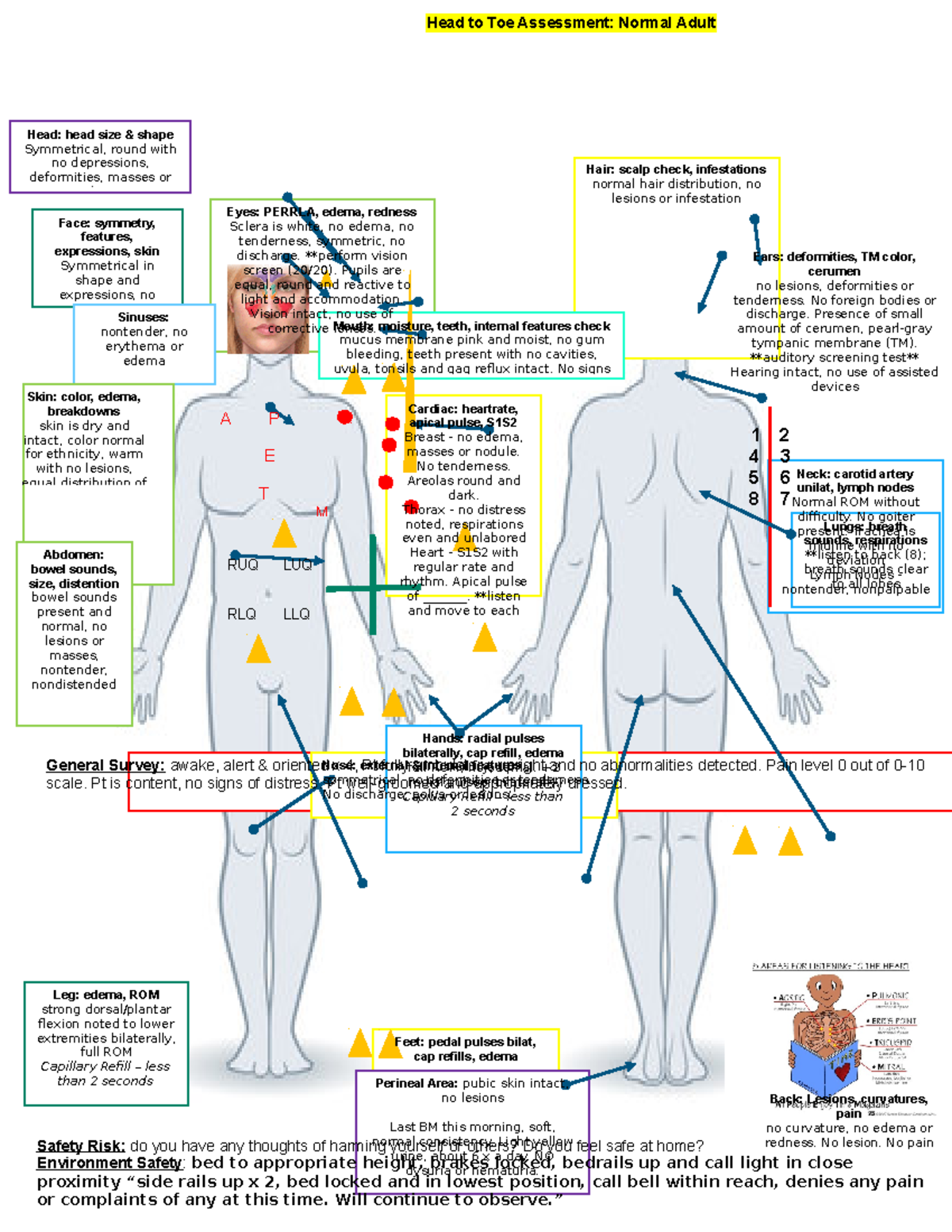 Head2toe assessment - Head: head size & shape Symmetrical, round with ...