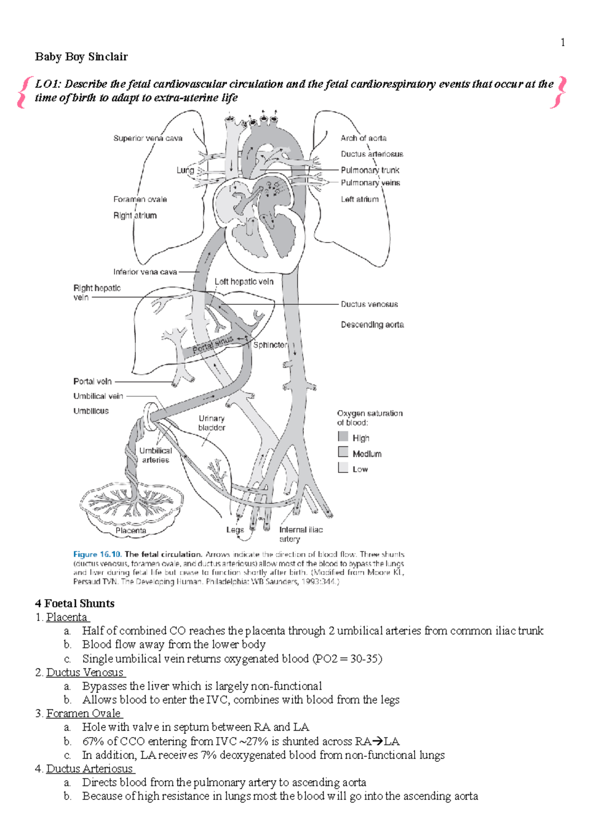 Baby Boy Sinclair LOs - Foetal development, foetal lung development ...