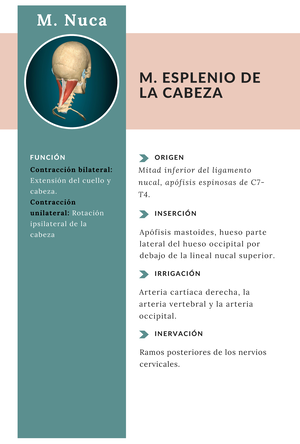 Temario Enarm Dr. Re - Dr. Re (15 4 grupos de temas, 238 GPCs ...