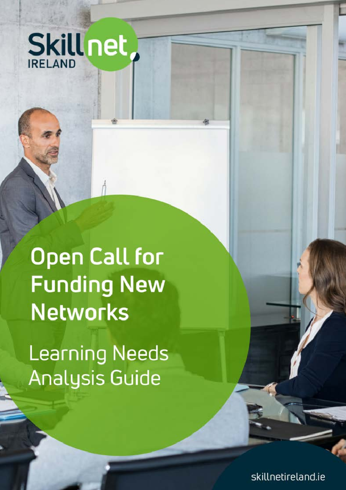Learning Needs Analysis Guide 2019 - Skillnet Ireland Open Call for ...