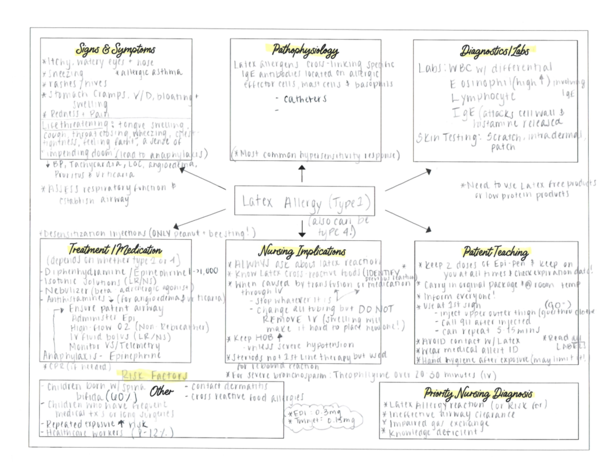 Latex Allergy (Type 1) Concept Map - NURS 2040 - CCRI - Studocu