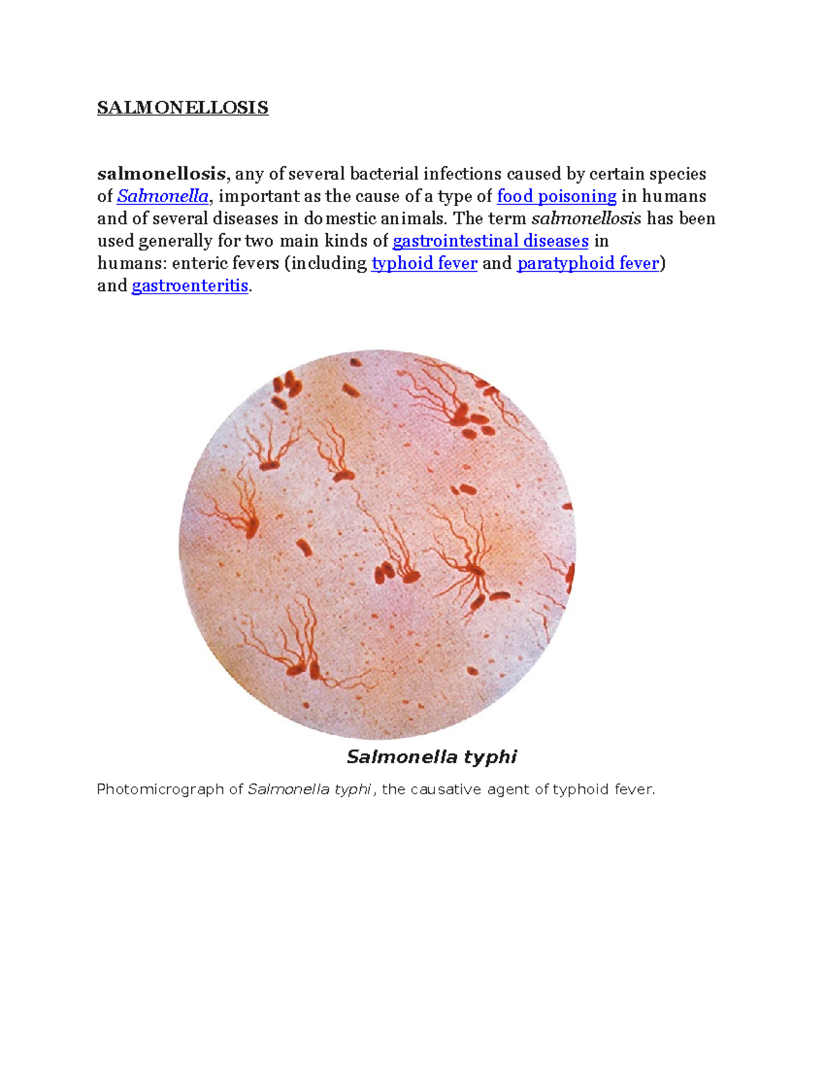 Salmonellosis Pathology Bacterial Infection Salmonella Causes Diagram Detailed