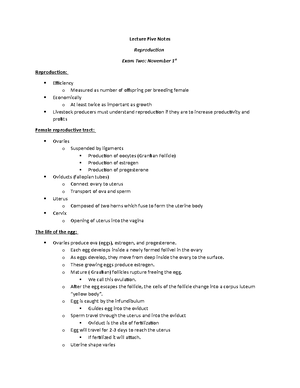 Chapter 16 - Biology 1407 outline notes, filled in from Dr. Burns ...
