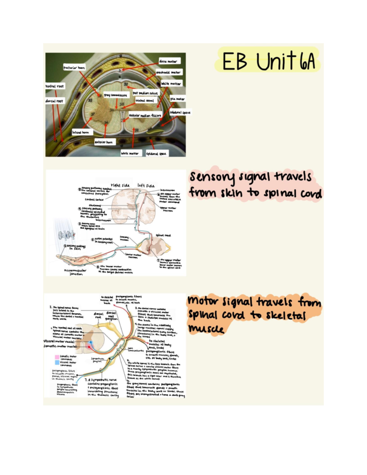 EB Unit 6A - Outlines of the textbook and important material to be ...