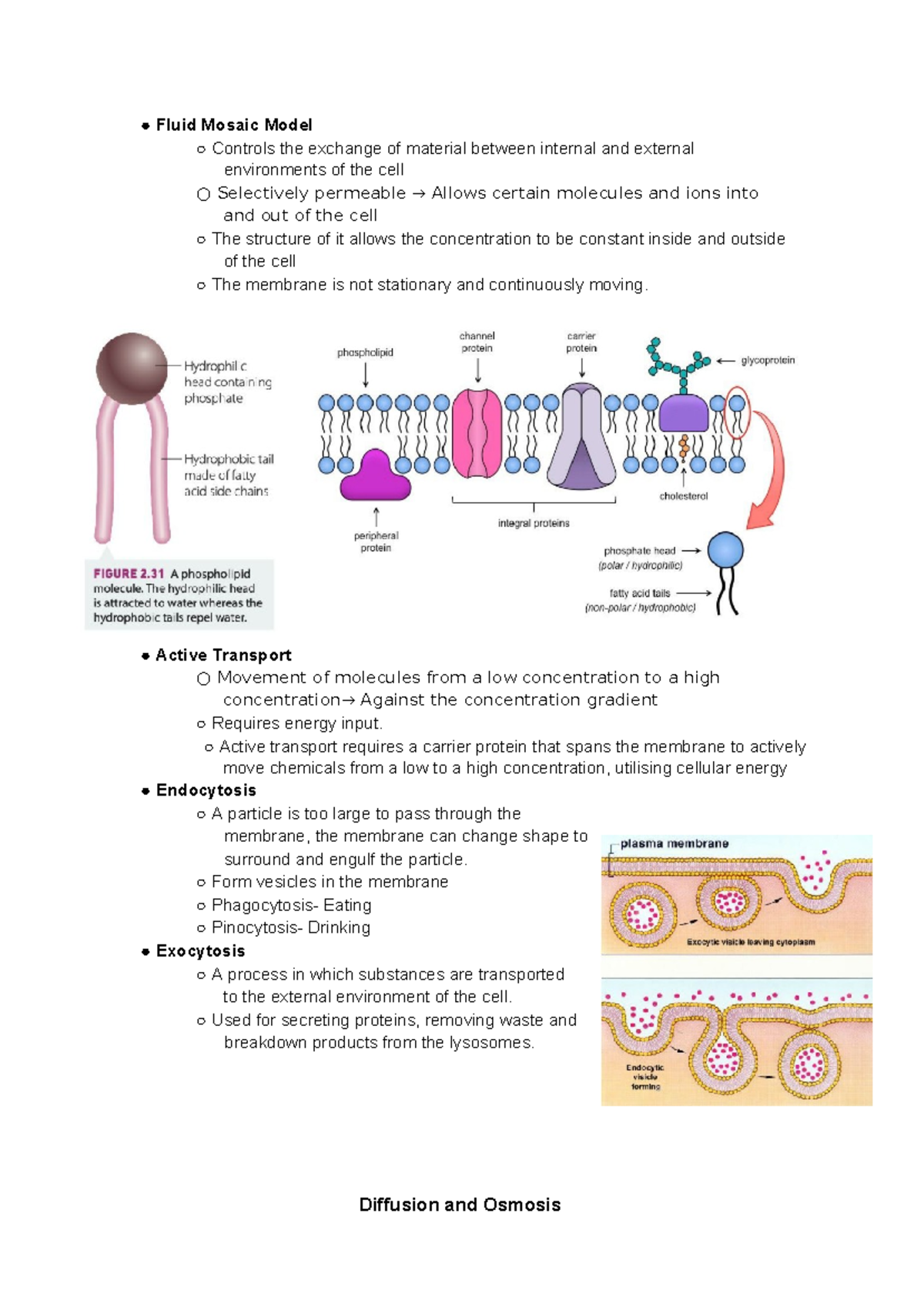 Biology Notes - Fluid Mosaic Model Controls the exchange of material ...