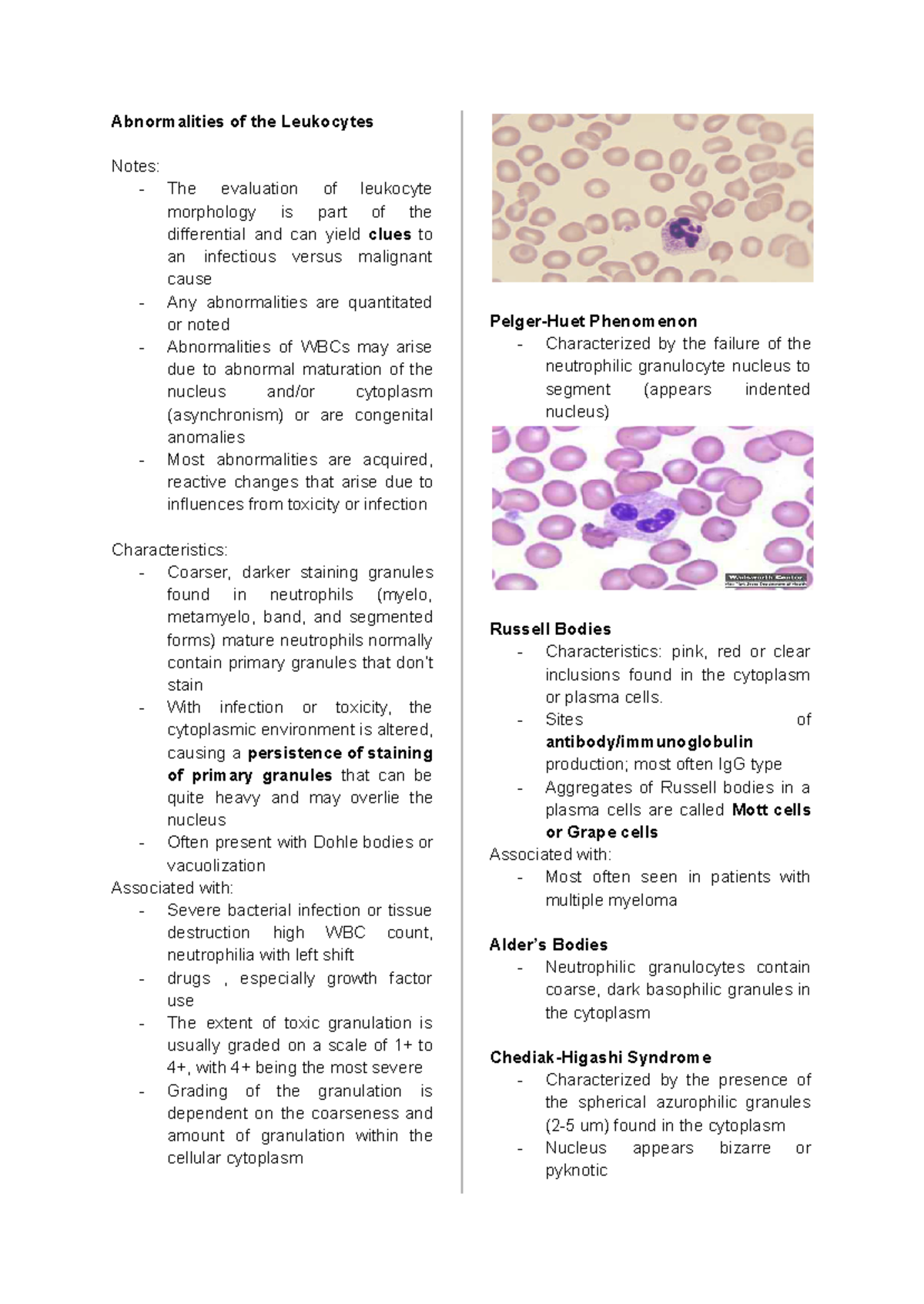 Abnormalities of the Leukocytes - Abnormalities of the Leukocytes Notes ...