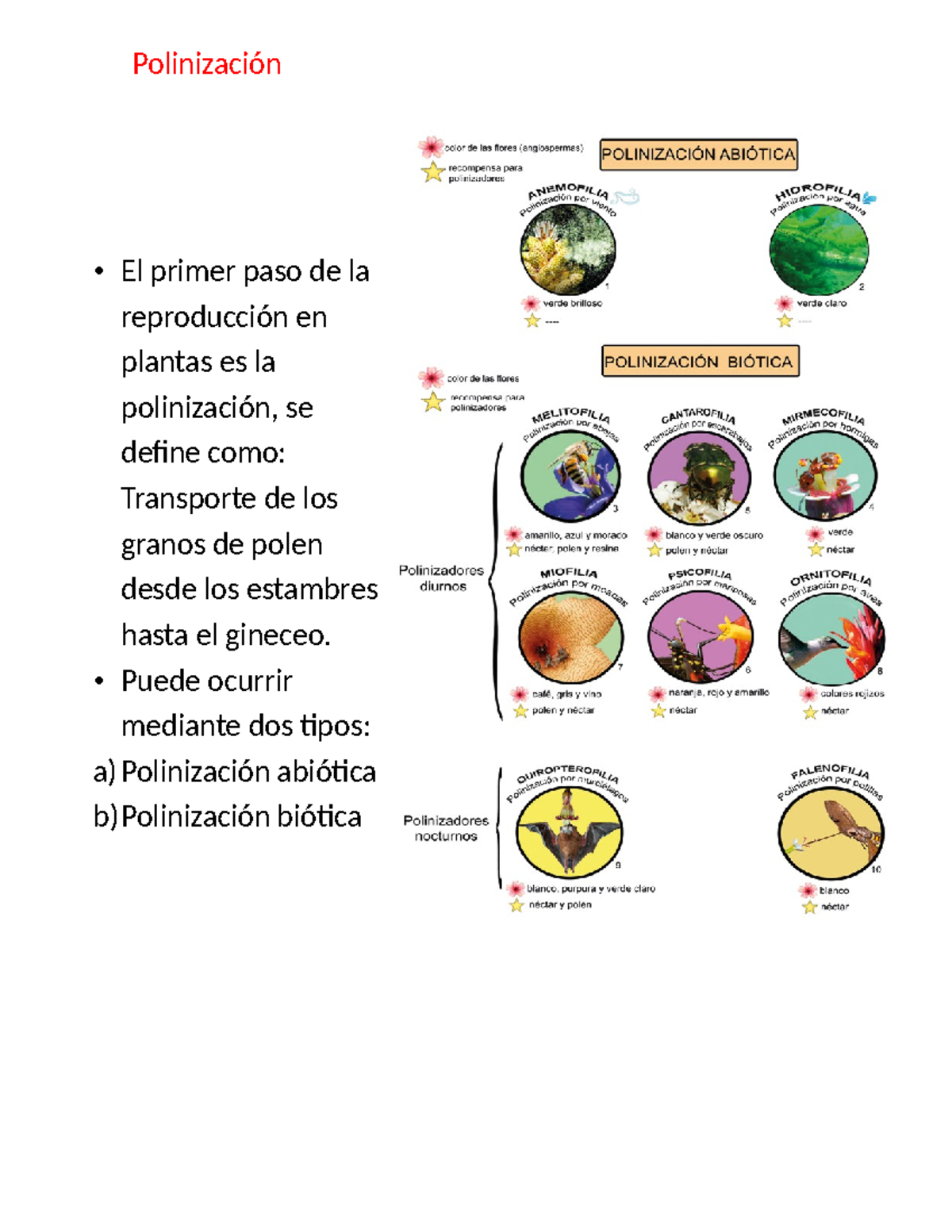 Polinización - Polinización El primer paso de la reproducción en ...
