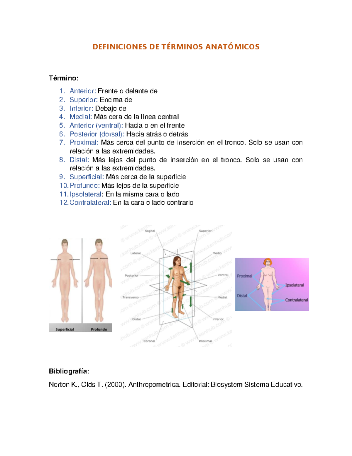Definiciones DE Términos Anatómicos - DEFINICIONES DE TÉRMINOS ...