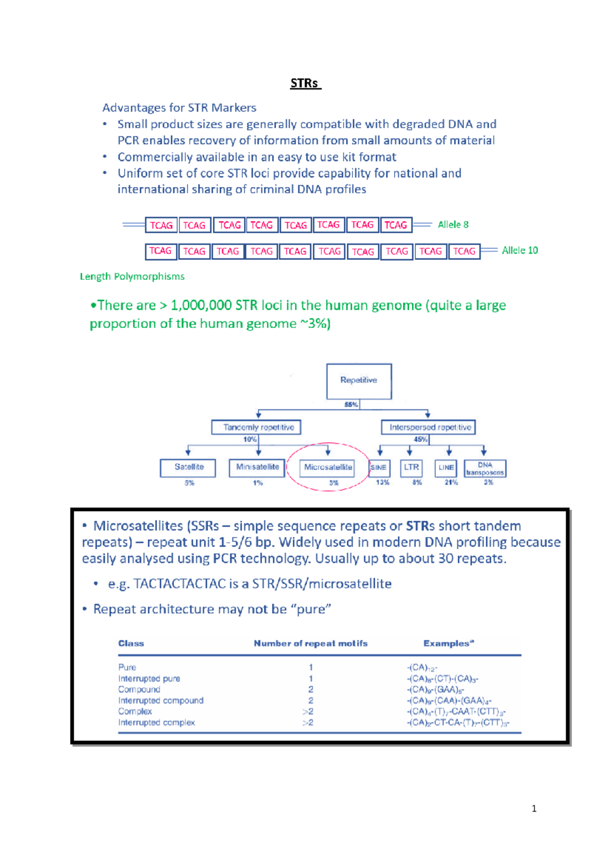 STRs - Overivew of STRs and how they are used in Forensics. - STRs ...