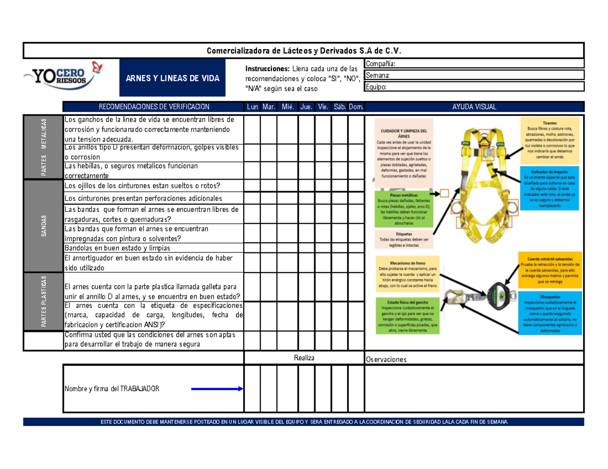 27 Arnes Y Lineas DE VIDA-LALAG - Compañía: Semana: Equipo ...
