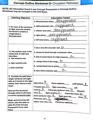 Ch. 7 Terminology - Chapter 7 - Combining Forms Combining Form Meaning ...