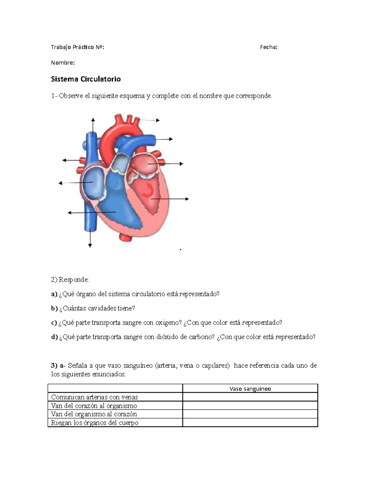 TPNº1 - Trabajos Prácticos-Sistema Circulatorio - Trabajo Práctico Nº ...
