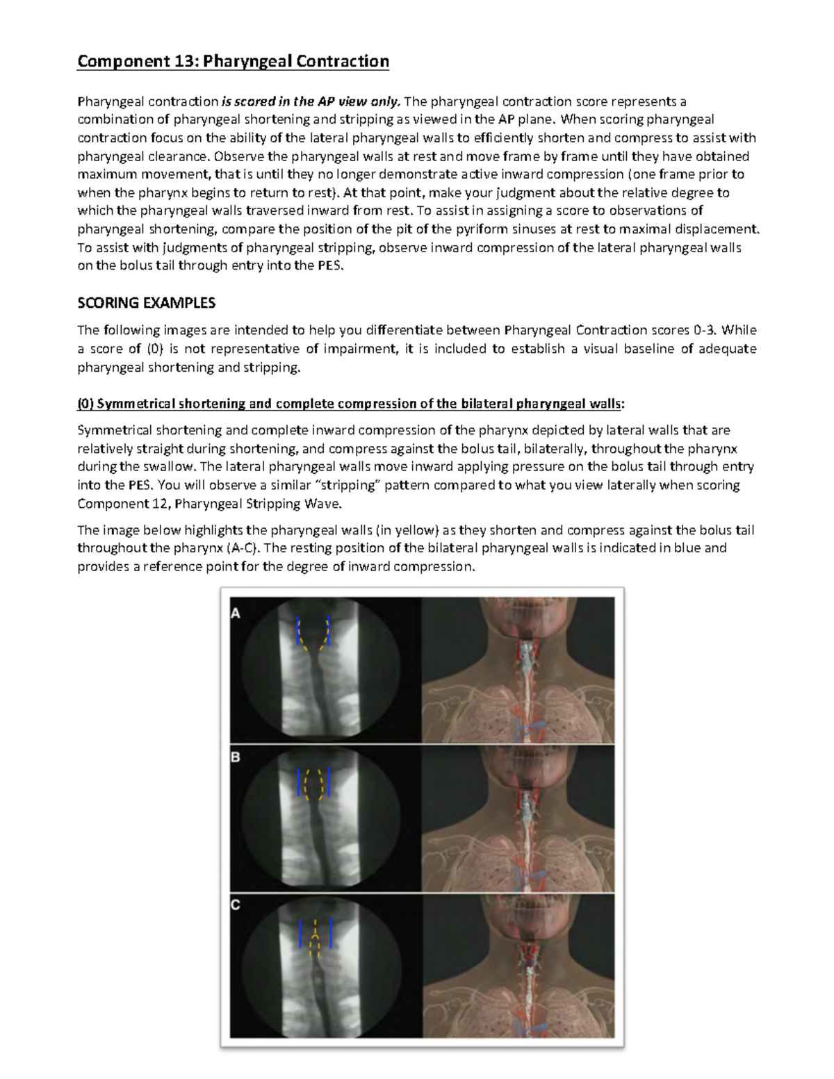 13-Pharyngeal Contraction - SPPA 628 - Studocu