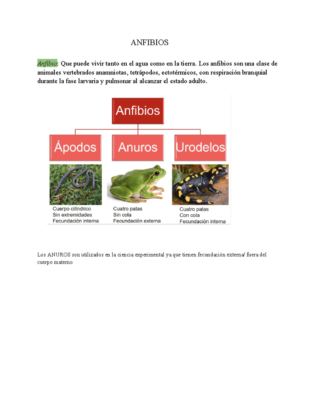 Desarrollo Anfibios - ANFIBIOS Anfibio: Que puede vivir tanto en el ...
