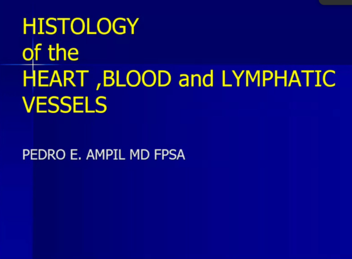 L2 Heart, Blood, Lymphatic Vessel - Anatomy and Physiology - middle ...