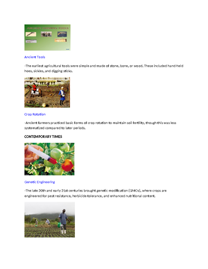 Perfect-competition - essay - Perfect competition 1. Identify one ...