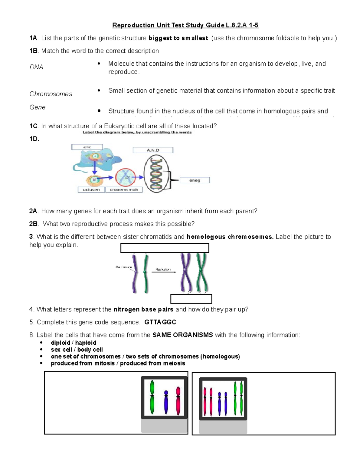 Unit Test Study Guide L.8 - 8.2 1- 1A. List the parts of the genetic ...